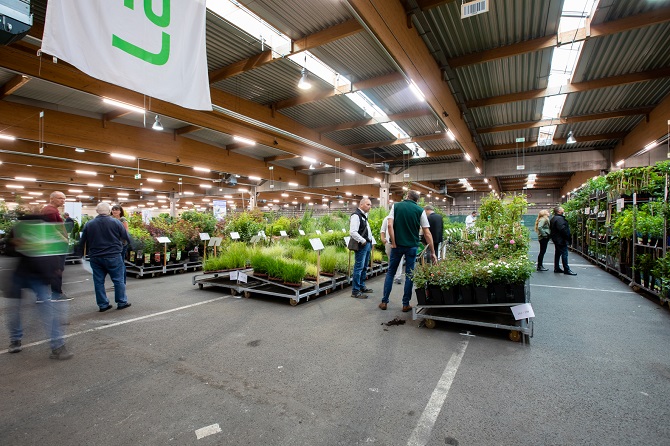 Landgard Frühjahrs-Ordertage 2020 starten am Sonntag, 26.Januar ...