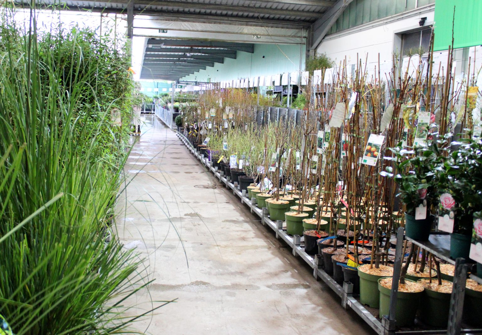 Landgard startet Winteredition 2024-Ordertage in Wiesmoor › Gawina ...
